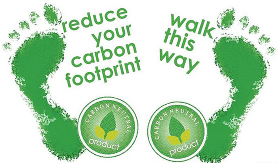 8 Practical Ways On How to Reduce our Carbon Footprint | Destination FEED 8 Practical Ways On How to Reduce our Carbon Footprint | Destination FEED